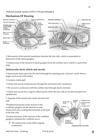 Anatomy Of Ear.pdf