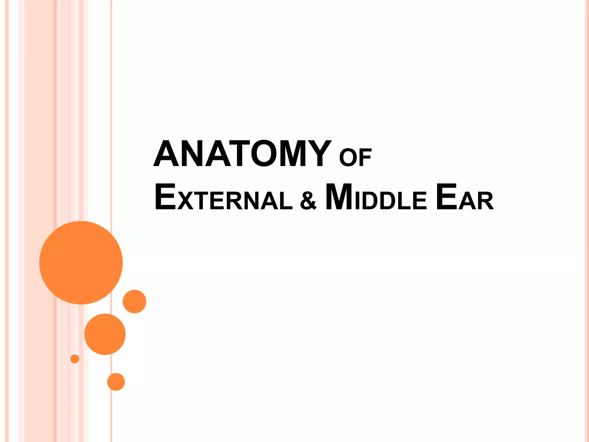 anatomy of ear.pptx