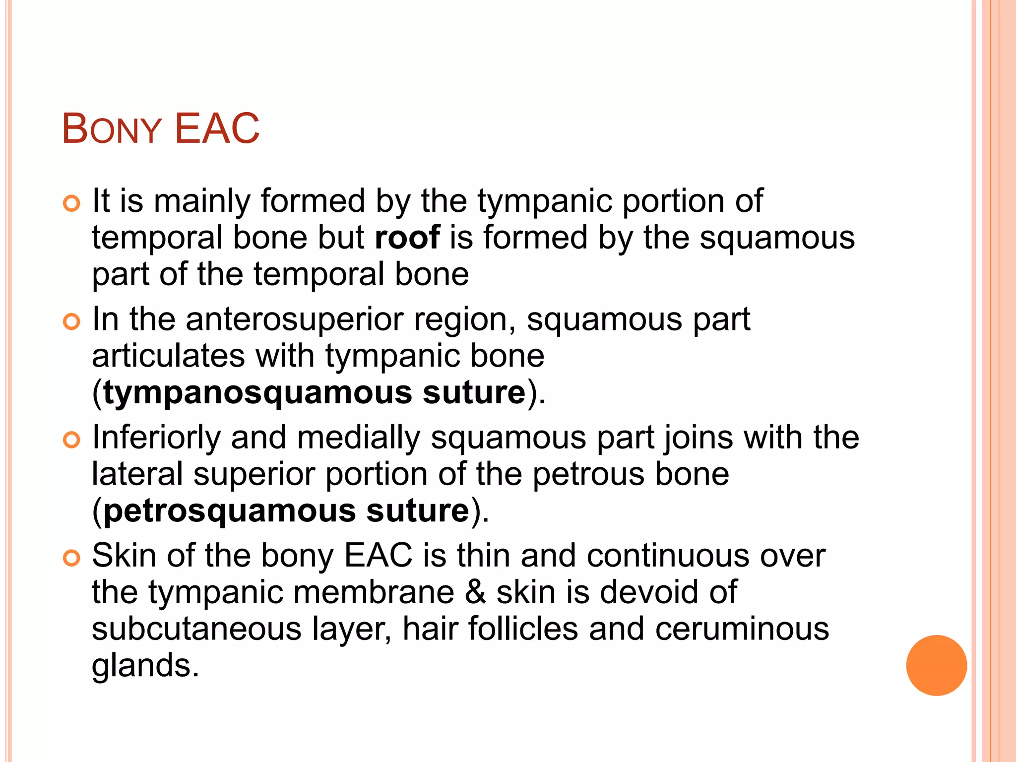 anatomy of ear.pptx