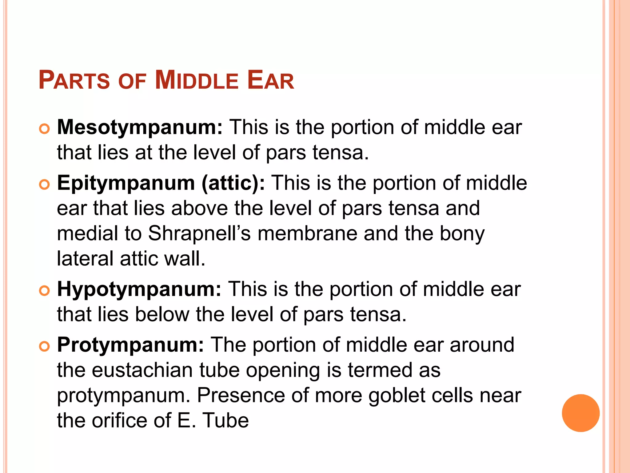 anatomy of ear.pptx