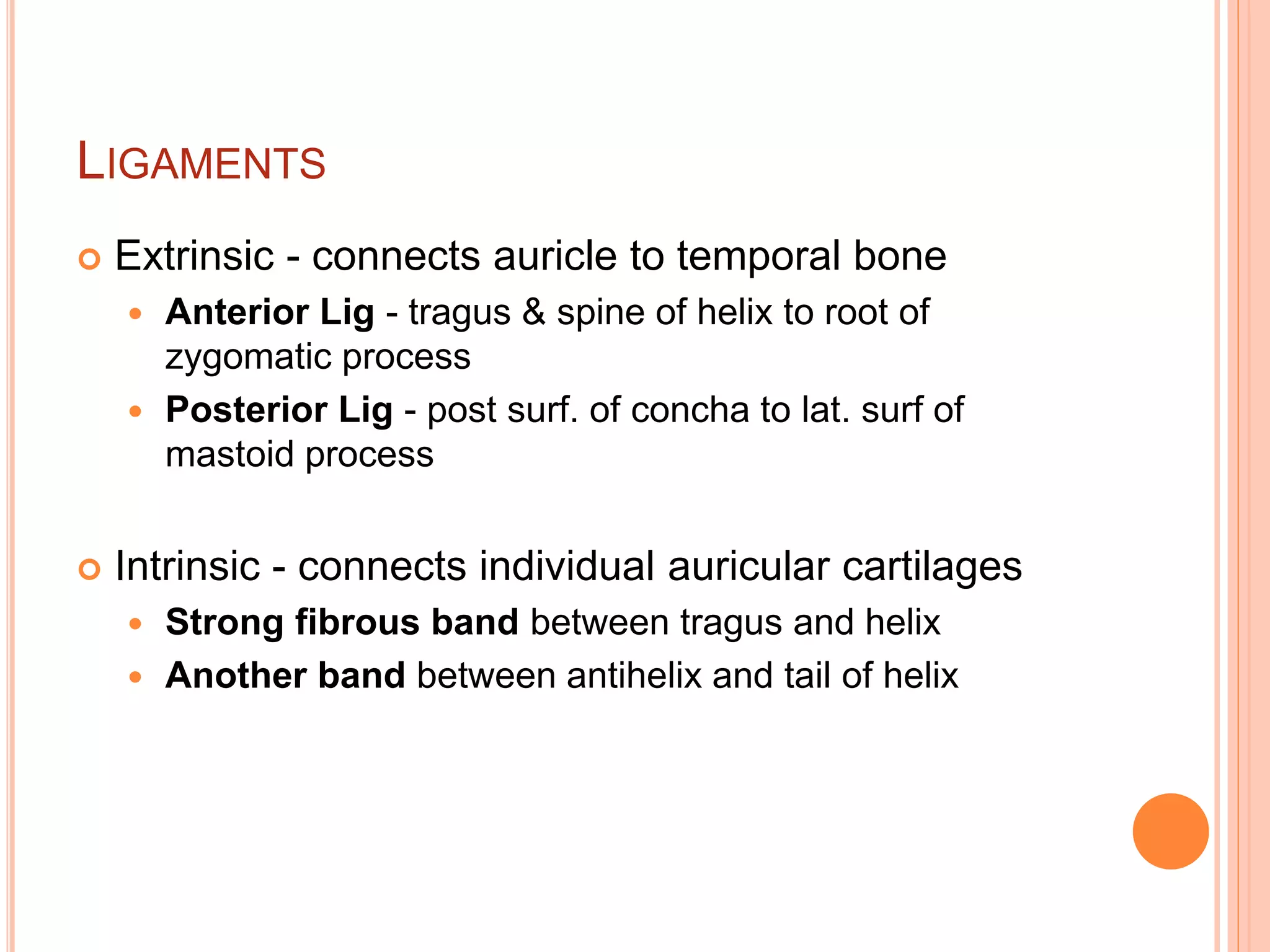 anatomy of ear.pptx