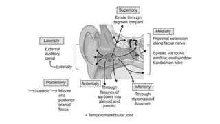 anatomy of ear.pptx | Ear, Nose and Throat Conditions | Diseases and ...