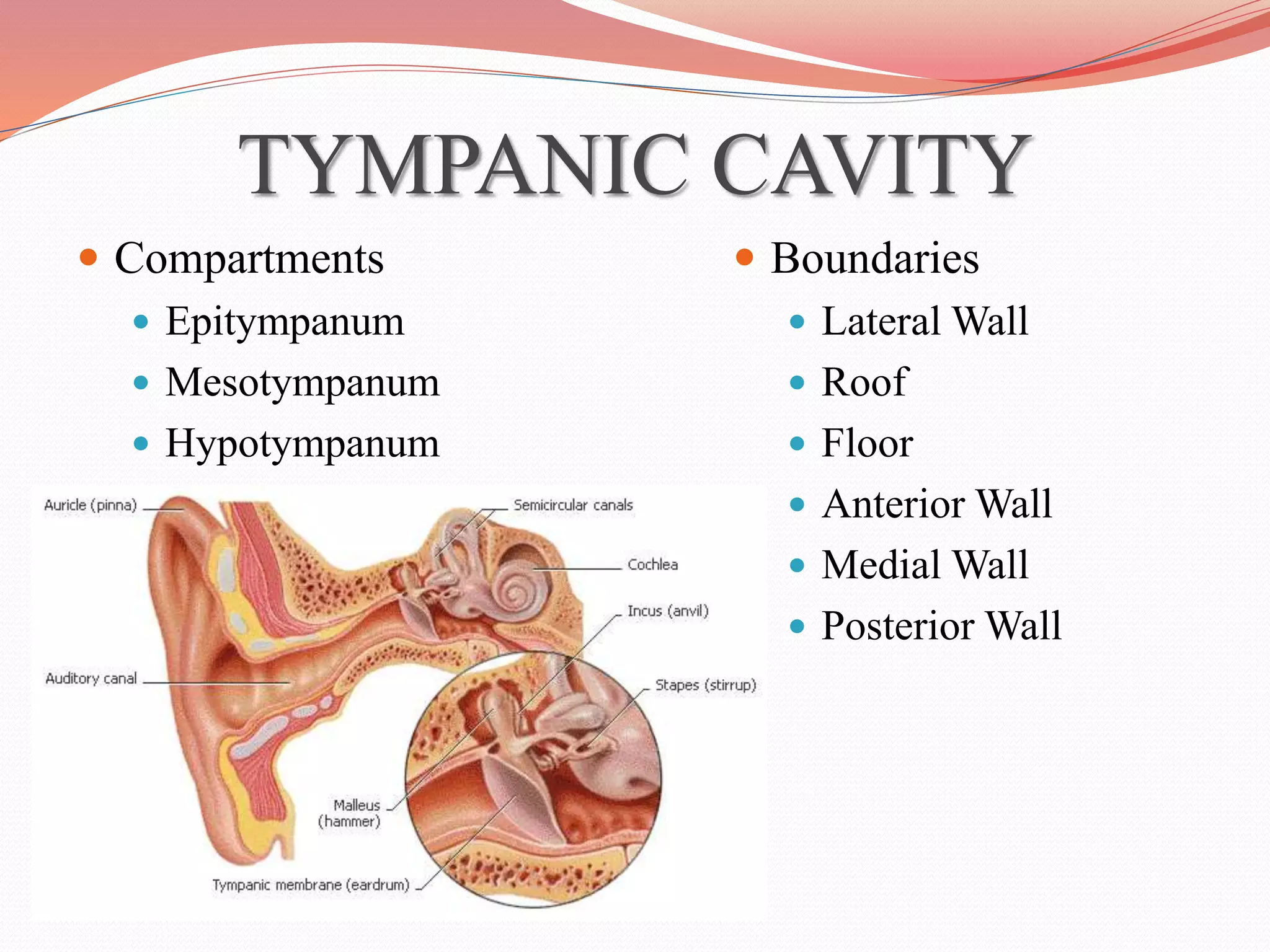 Anatomy Of Ear.pptx