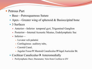 Anatomy Of Ear.pptx