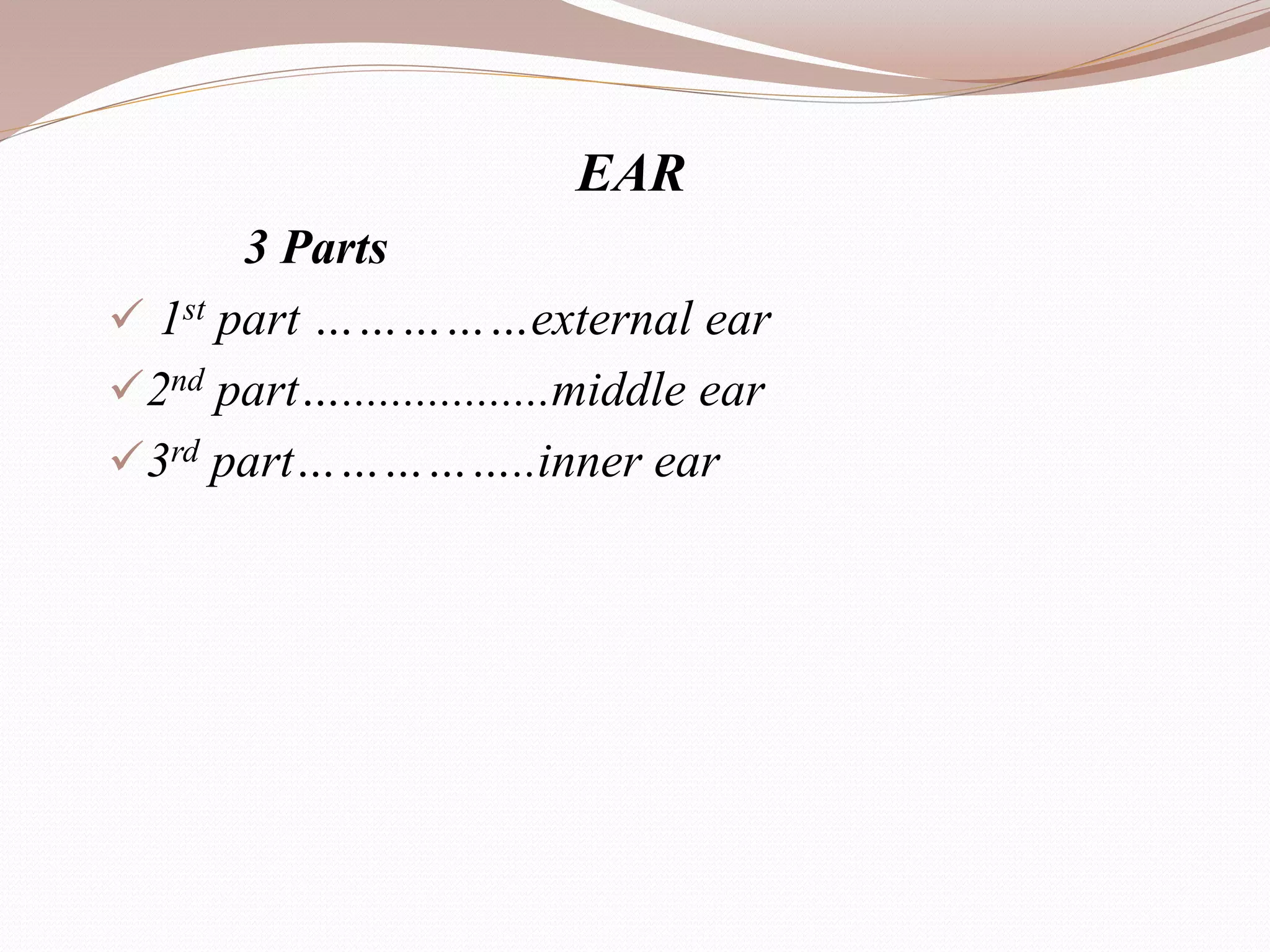 ANATOMY OF EAR.pptx