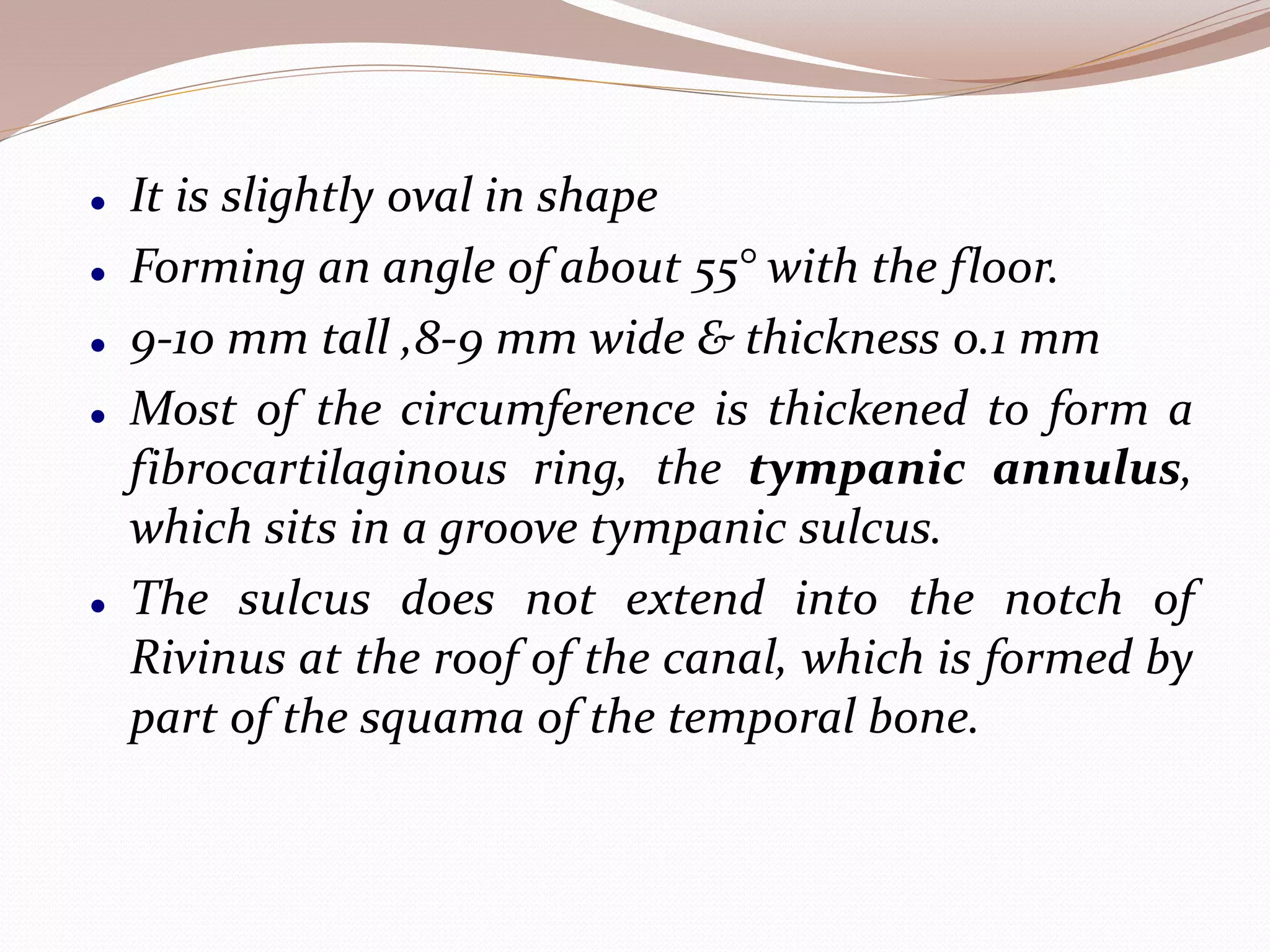 ANATOMY OF EAR.pptx