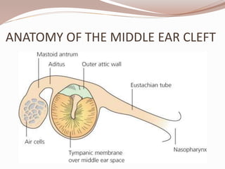ANATOMY OF EAR.pptx