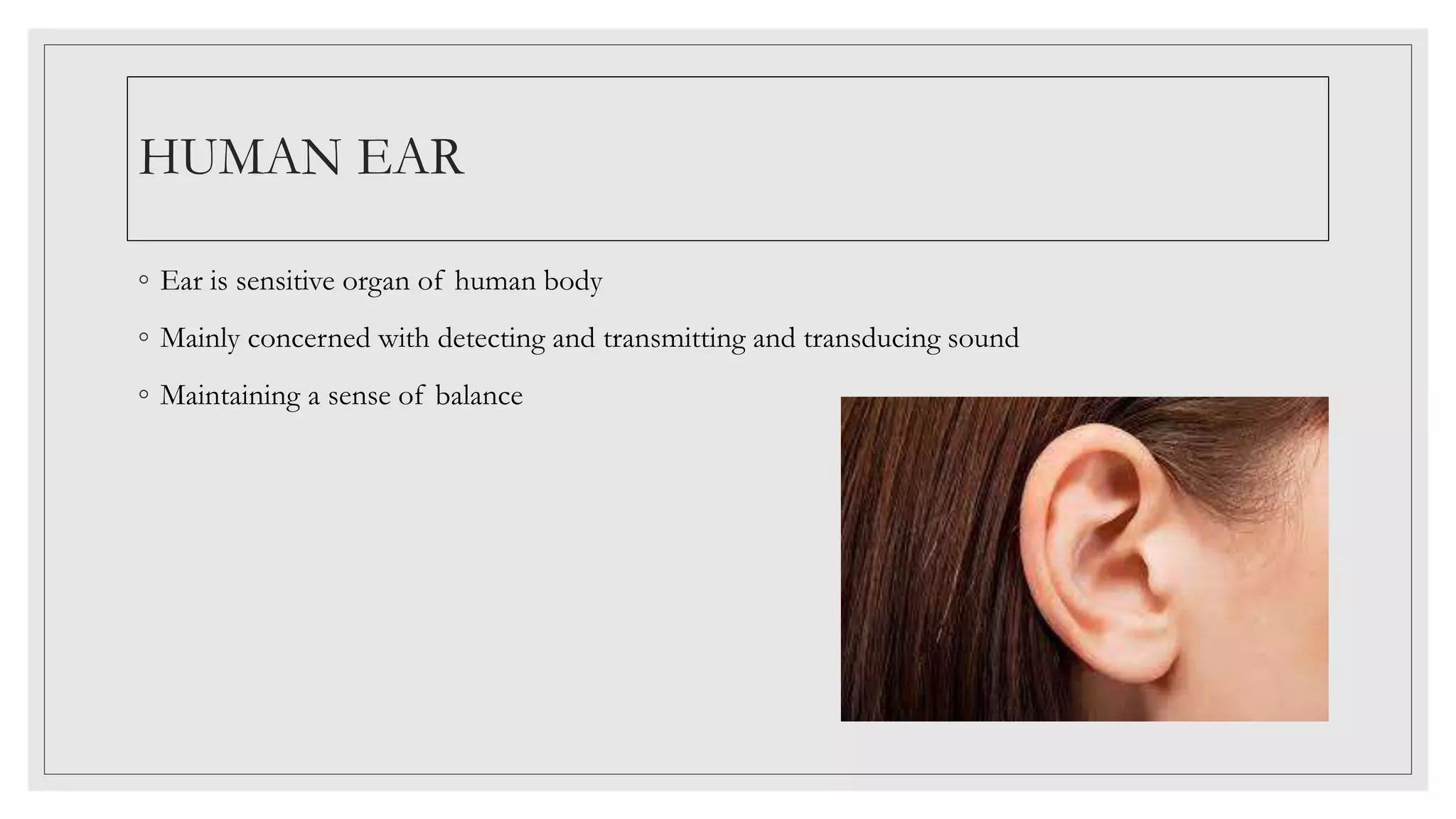 ANATOMY OF EAR.pptx