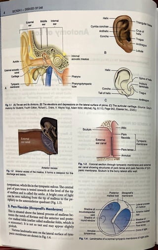 Anatomy of Ear.pdf