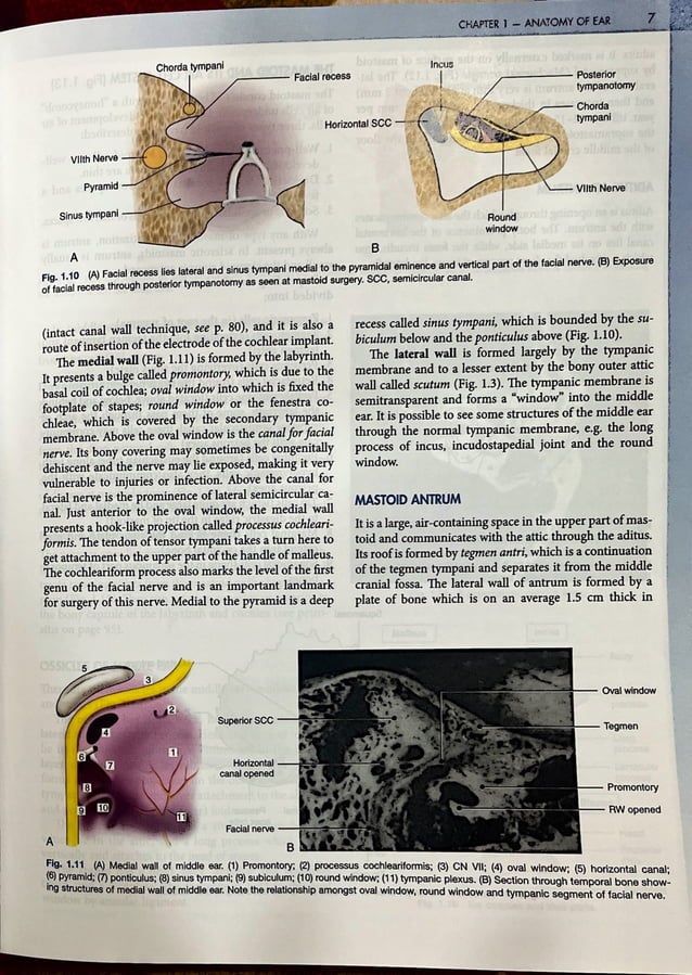 Anatomy of Ear.pdf