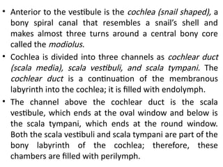 ANATOMY OF EAR WITH DIAGRAMS SHOWING STRUCTURES.pptx