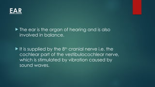 ANATOMY OF EAR for the simplicity of learning. | PPT