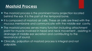 ANATOMY OF EAR for the simplicity of learning. | PPT