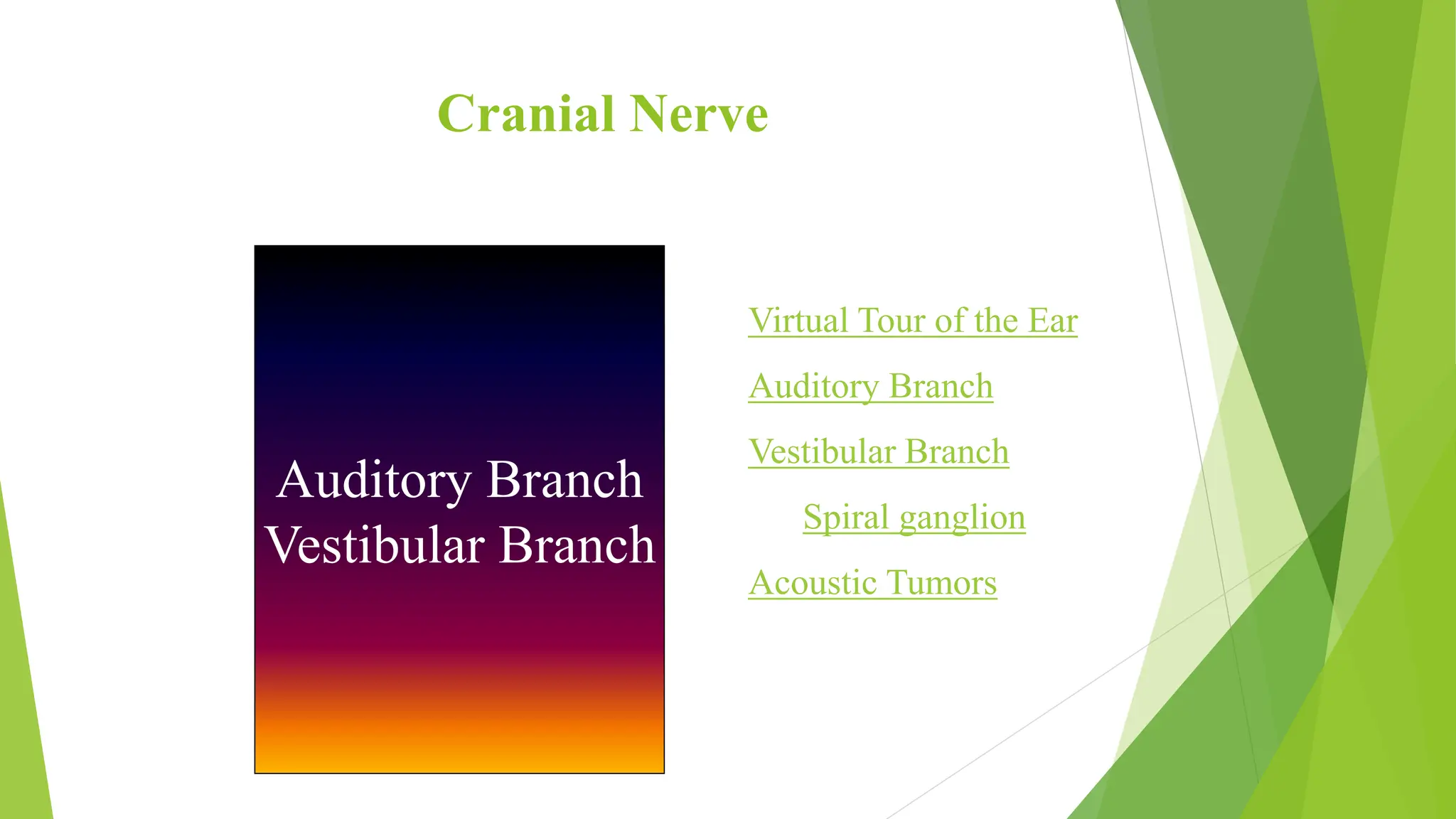 Anatomy of ear BY Ms.Sapna Rani | PPTX | Digital Audio | Computer Software and Applications