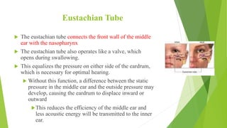 Anatomy of ear BY Ms.Sapna Rani | PPTX