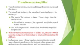Anatomy of ear BY Ms.Sapna Rani | PPTX | Digital Audio | Computer ...