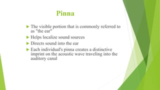 Anatomy of ear BY Ms.Sapna Rani | PPTX | Digital Audio | Computer ...