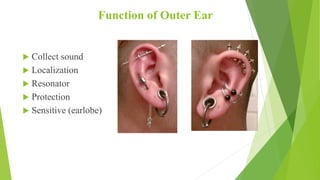 Anatomy of ear BY Ms.Sapna Rani | PPTX | Digital Audio | Computer ...