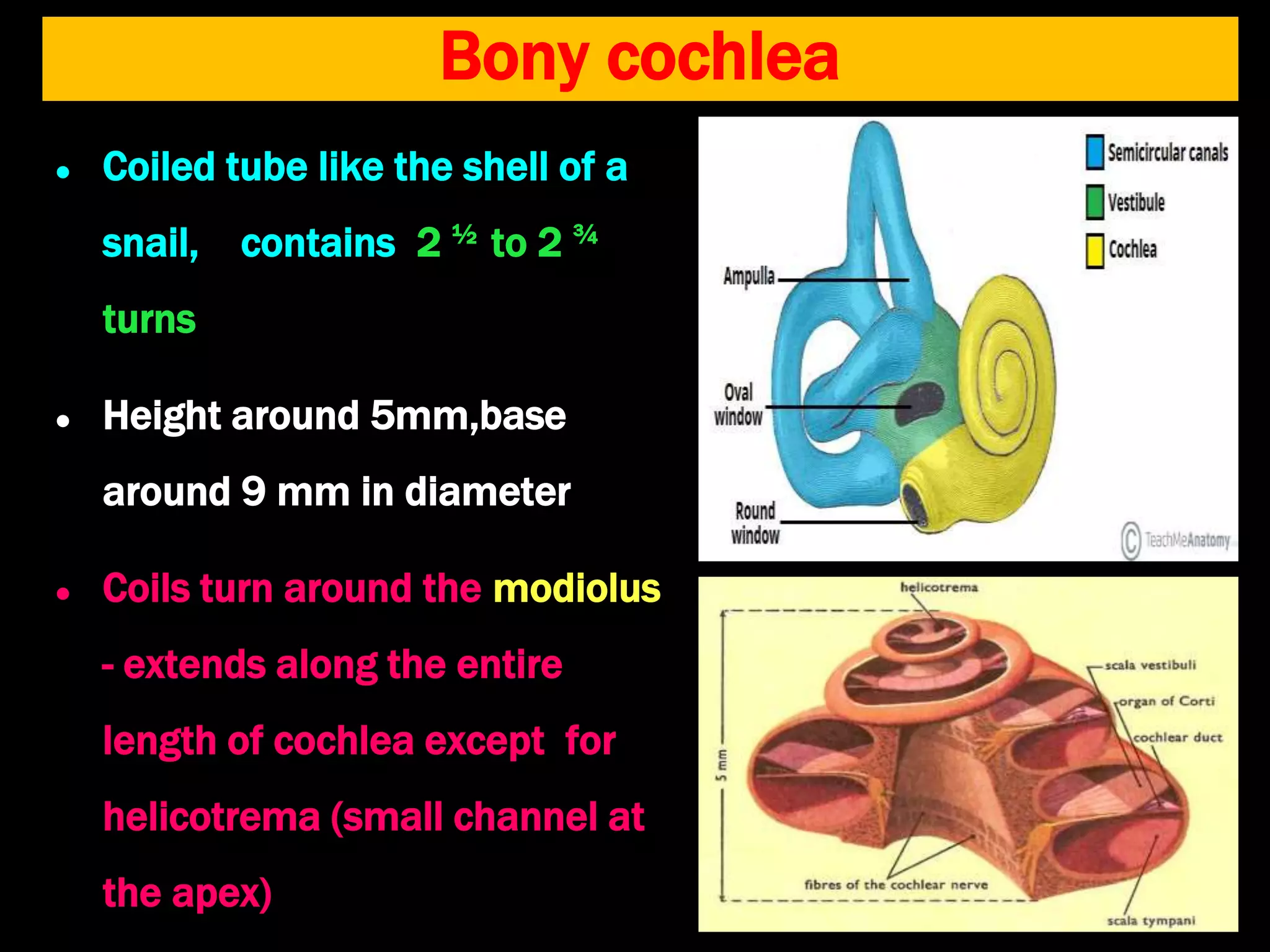 Anatomy of ear and mastoid | PPT