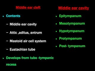 Anatomy of ear and mastoid | PPT