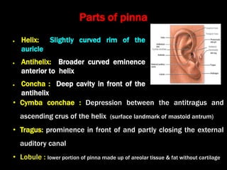 Anatomy of ear and mastoid | PPT