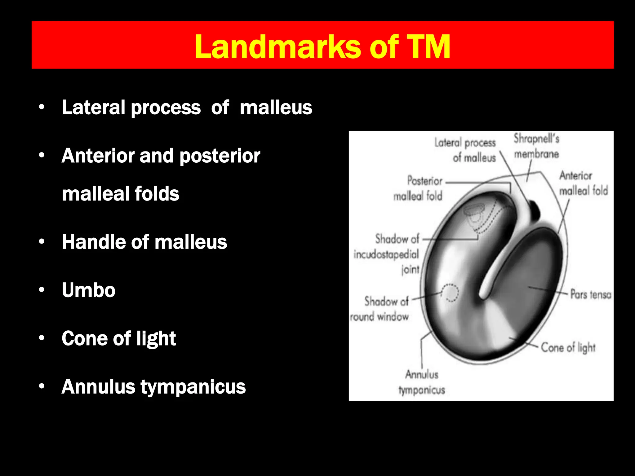 Anatomy of ear and mastoid - Dr. Krishna Koirala | PPT