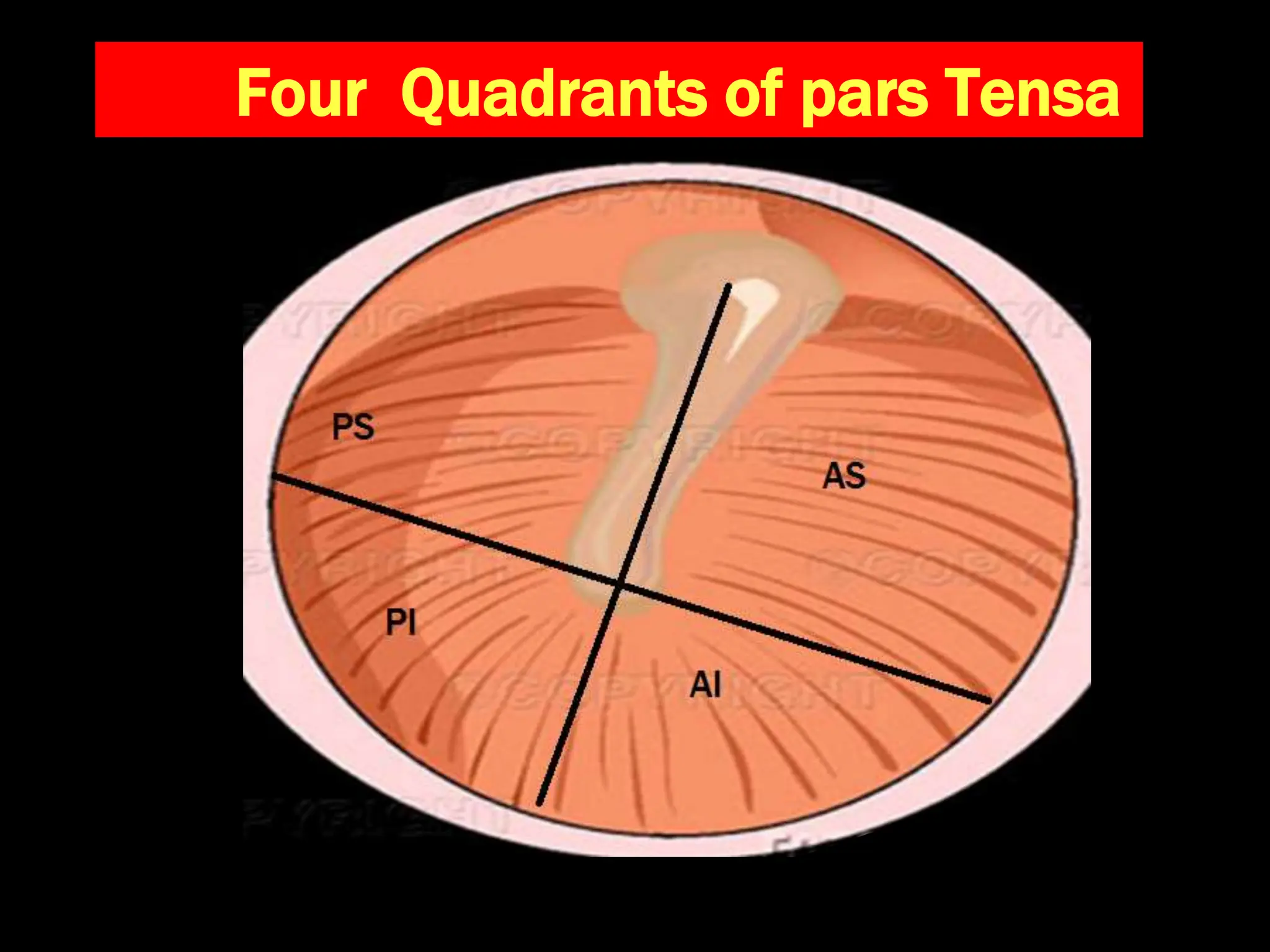 Anatomy of ear and mastoid - Dr. Krishna Koirala | PPT