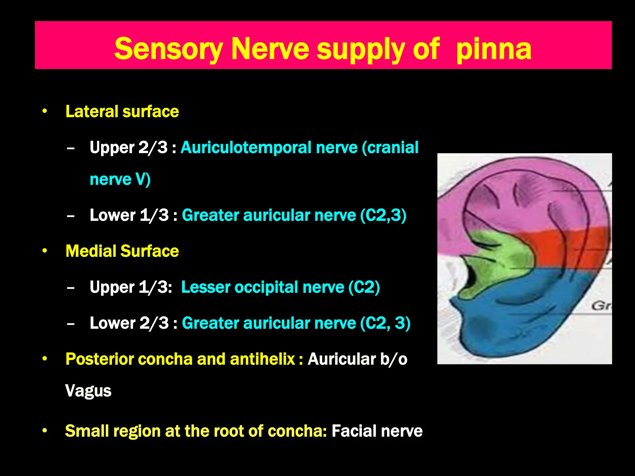 Anatomy of ear and mastoid - Dr. Krishna Koirala | PPT