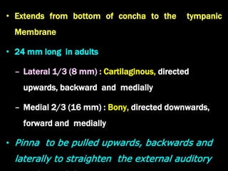 Anatomy of ear and mastoid - Dr. Krishna Koirala | PPT