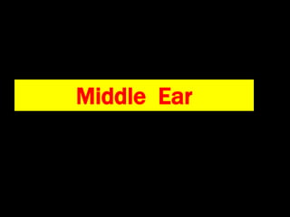Anatomy of ear and mastoid - Dr. Krishna Koirala | PPT