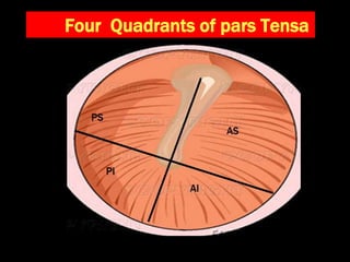 Anatomy of ear and mastoid - Dr. Krishna Koirala | PPT