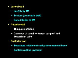 Anatomy of ear and mastoid - Dr. Krishna Koirala | PPT