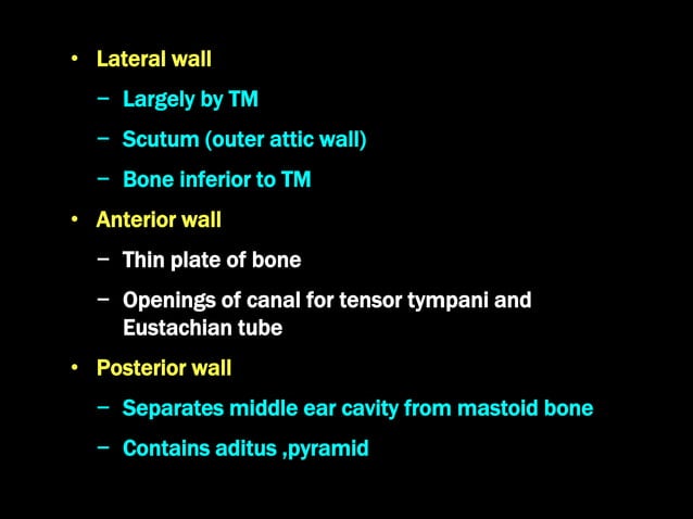 Anatomy of ear and mastoid - Dr. Krishna Koirala | PPT
