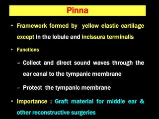 Anatomy of ear and mastoid - Dr. Krishna Koirala | PPT