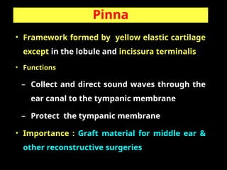 Anatomy of ear and mastoid.ppt //Dr Krishna Koirala | PPT