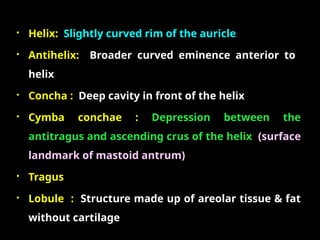 Anatomy of ear and mastoid.ppt //Dr Krishna Koirala | PPT