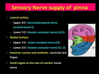 Anatomy of ear and mastoid.ppt //Dr Krishna Koirala | PPT