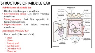ANATOMY OF EAR AND VCN_031614.pptx ist year mbbs | PPTX