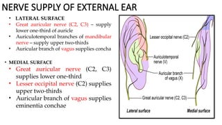 ANATOMY OF EAR AND VCN_031614.pptx ist year mbbs | PPTX