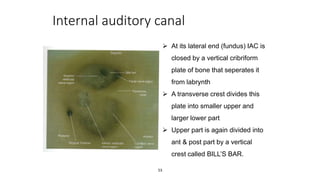 Anatomy of ear class.pptx