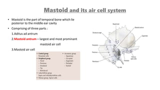 Anatomy of ear for UG.pptx