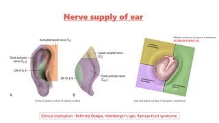 Anatomy of ear for UG.pptx