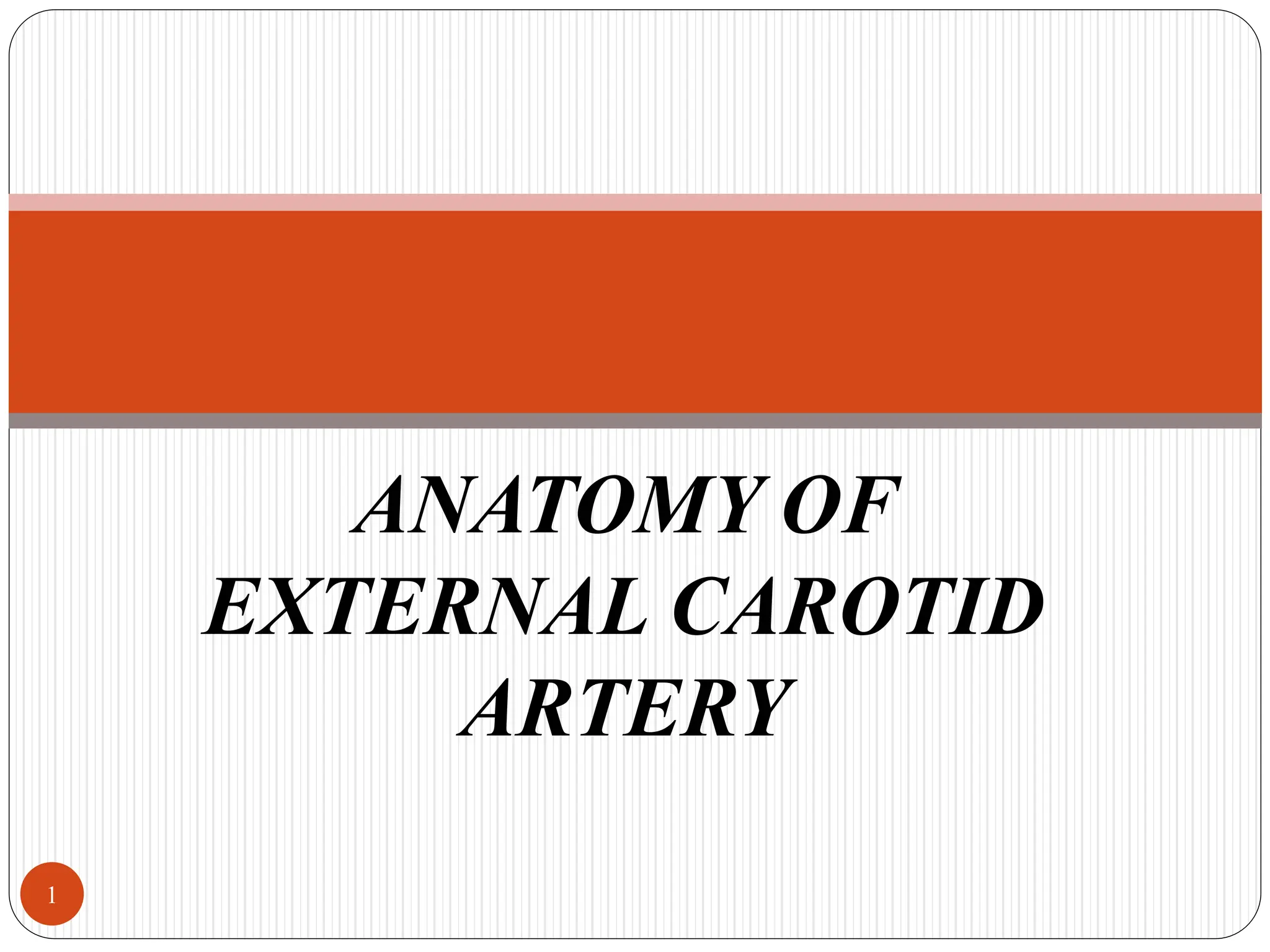 Anatomy of eca.pptx anatomy physiology and pharmacology | PPTX