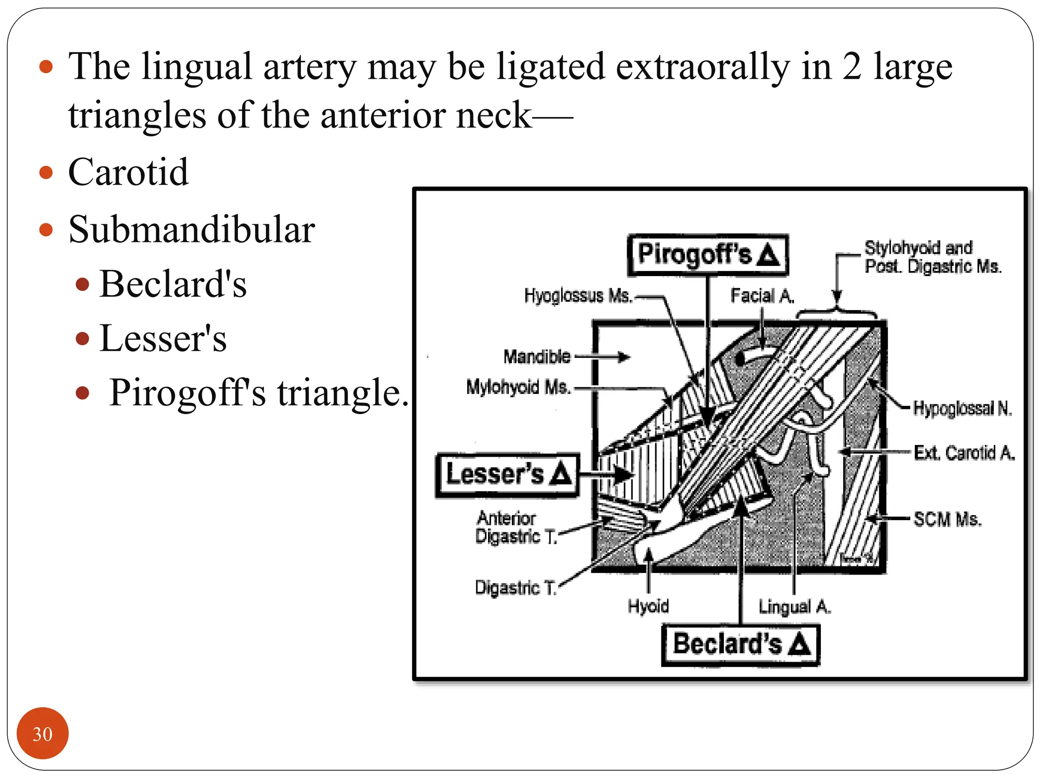 Anatomy of eca.pptx anatomy physiology and pharmacology | PPTX