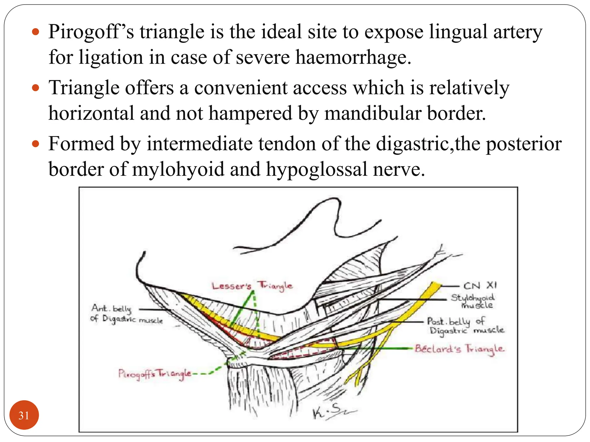 Anatomy of eca.pptx anatomy physiology and pharmacology | PPTX