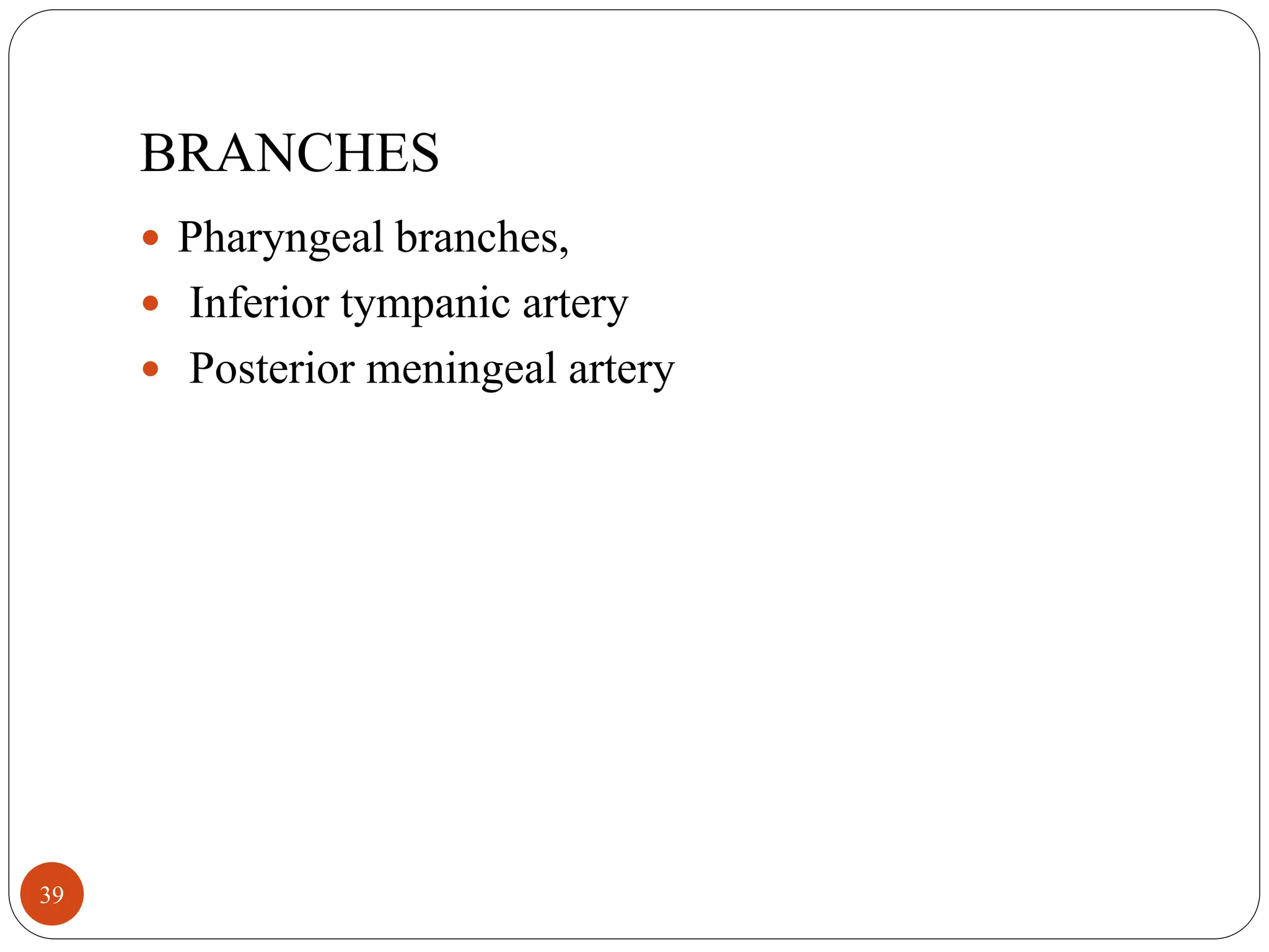 Anatomy of eca.pptx anatomy physiology and pharmacology | PPTX
