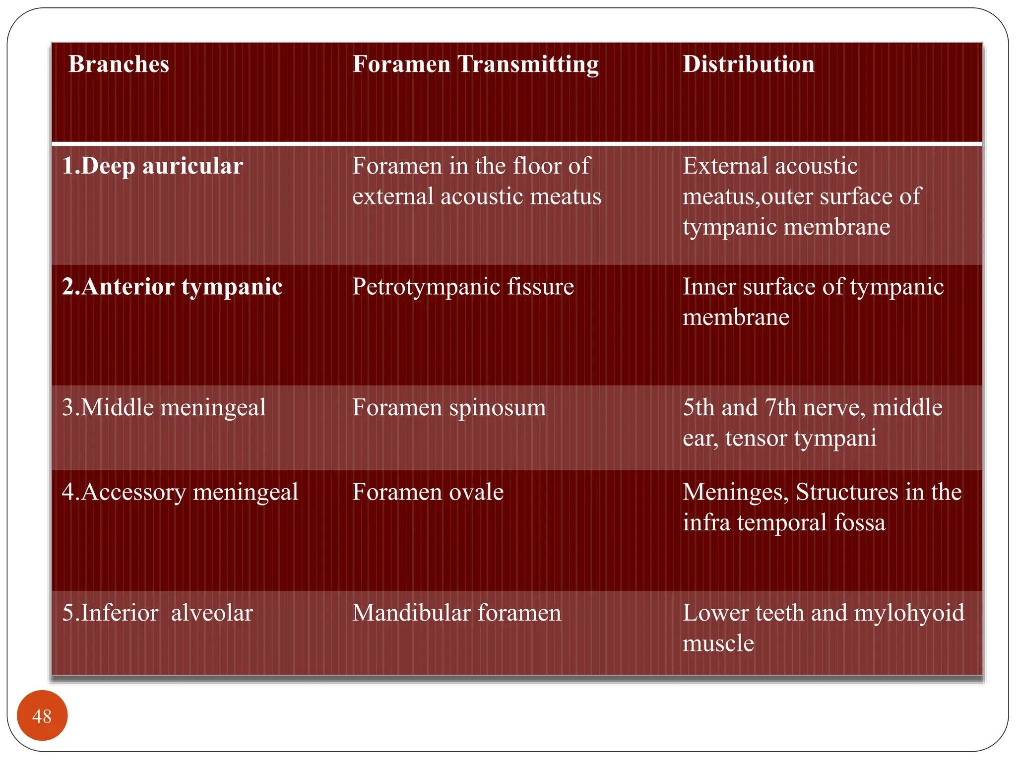 Anatomy of eca.pptx anatomy physiology and pharmacology | PPTX