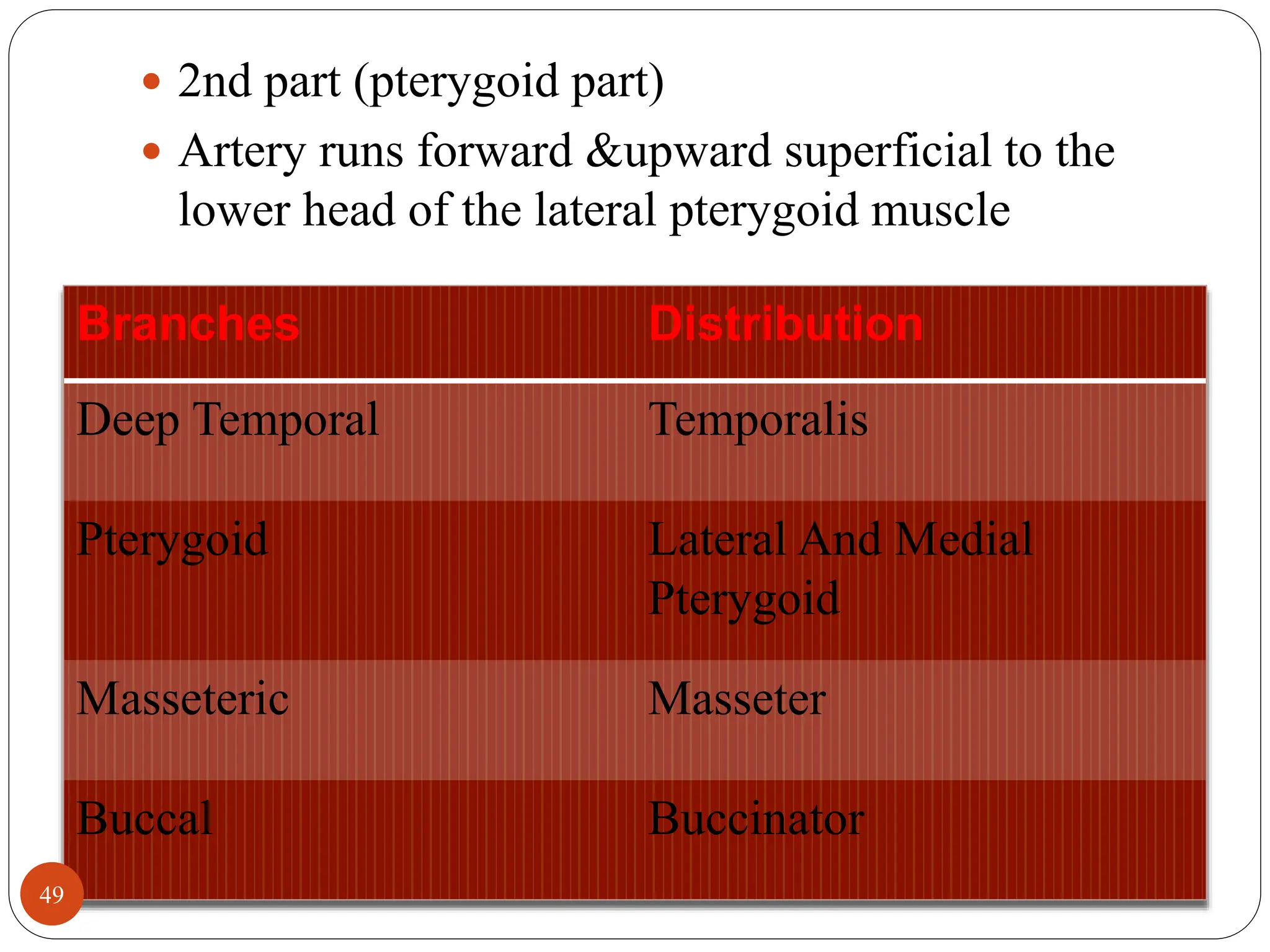 Anatomy of eca.pptx anatomy physiology and pharmacology | PPTX