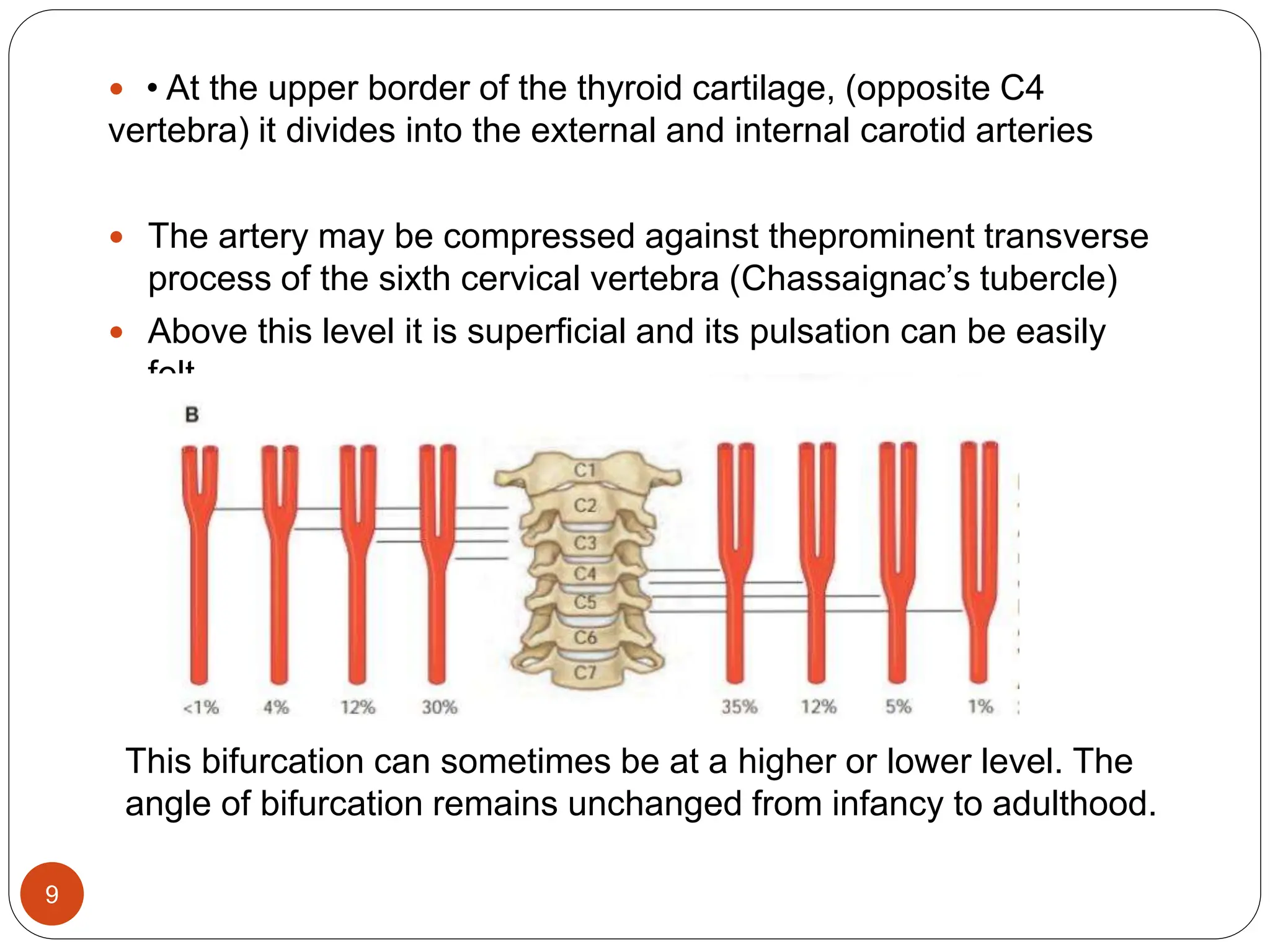 Anatomy of eca.pptx anatomy physiology and pharmacology | PPTX