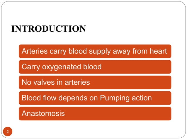 Anatomy of eca.pptx anatomy physiology and pharmacology | PPTX